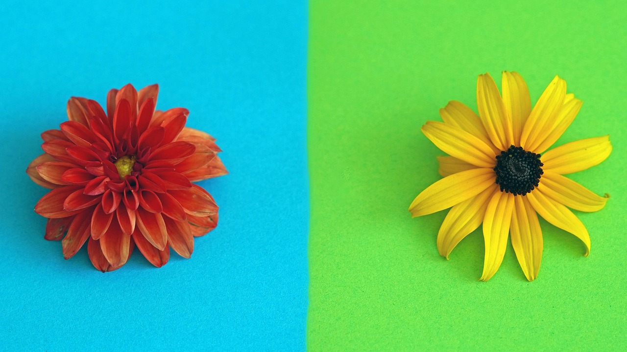 What Is Color Grading in Video Editing? - Hoopr Buzz